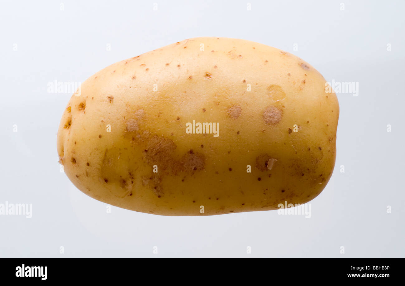One single potato hi-res stock photography and images - Alamy
