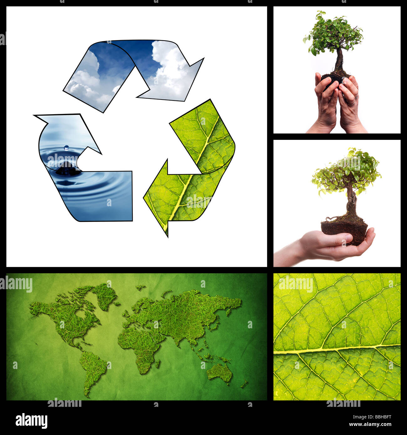 Environmental collage made from five images Stock Photo - Alamy