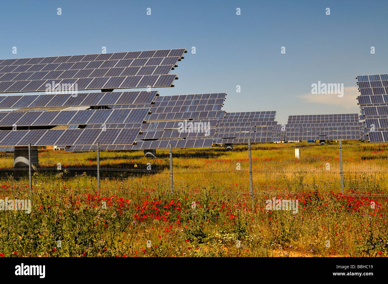 Arrays of solar cells hi-res stock photography and images - Alamy