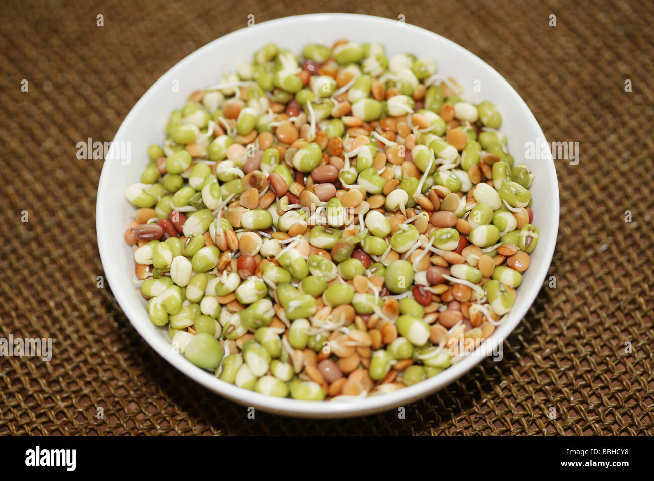 Bean shoots hi-res stock photography and images - Alamy