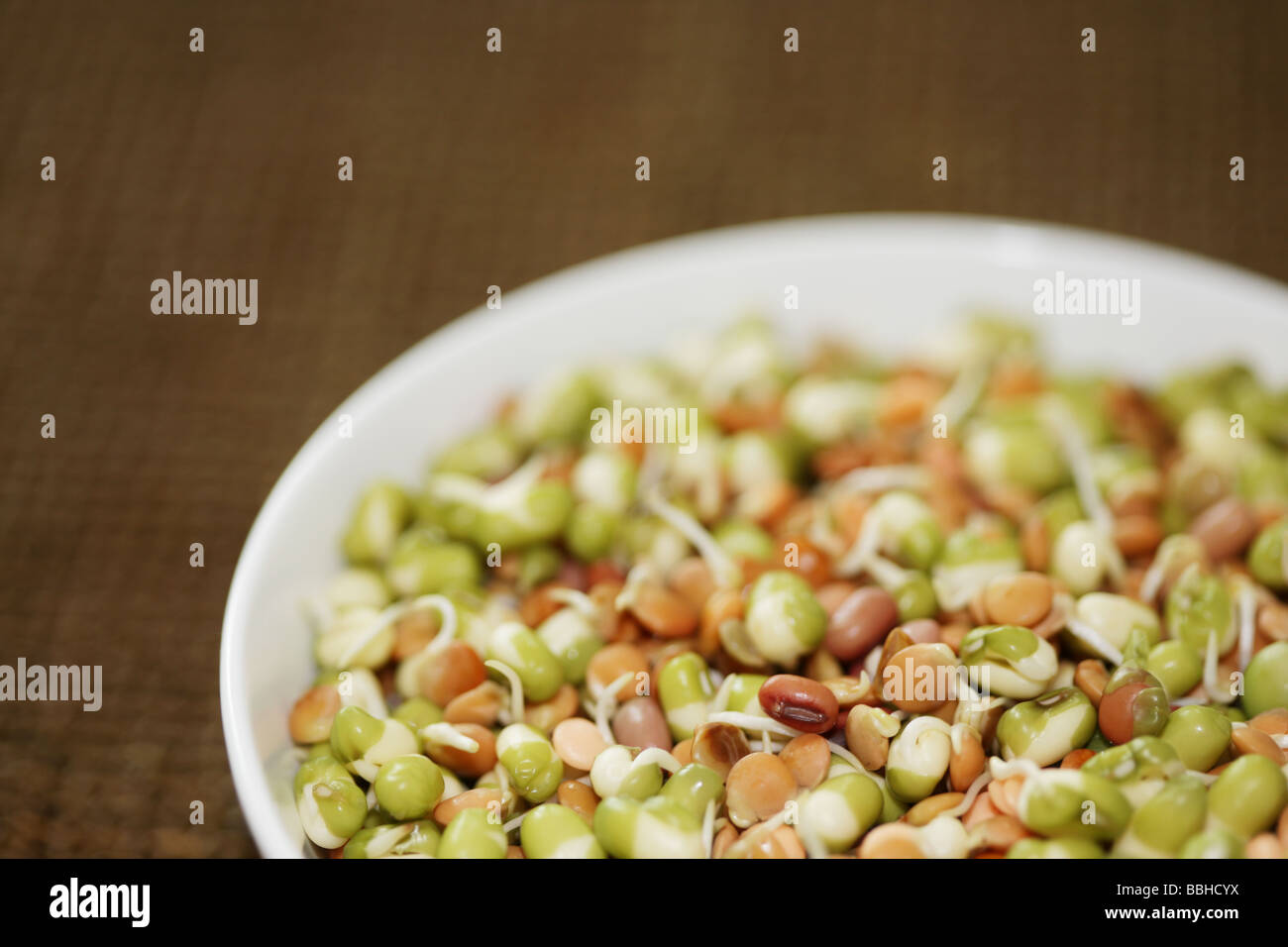 Bean shoots hi-res stock photography and images - Alamy