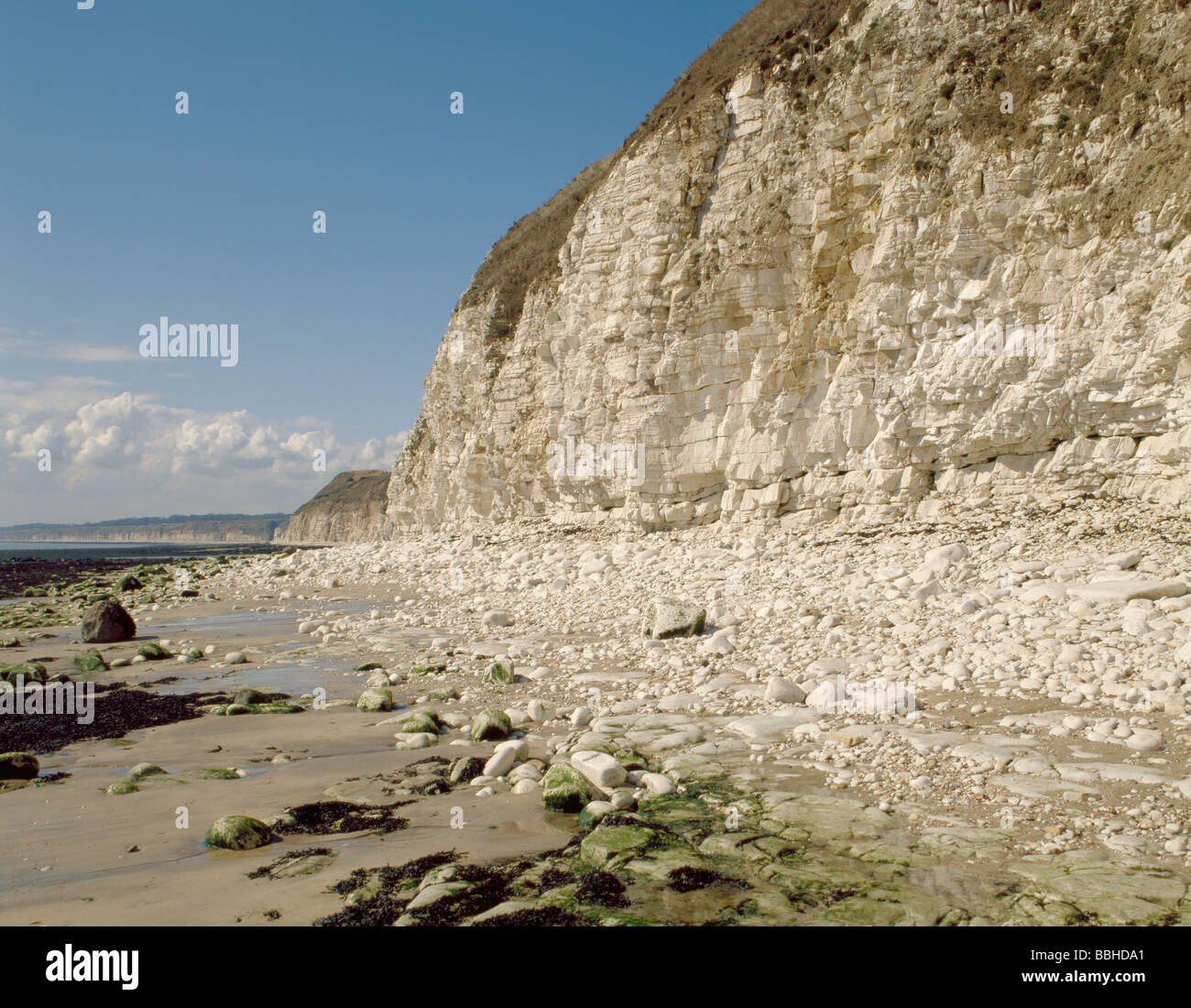 White cliffs of yorkshire hi-res stock photography and images - Alamy