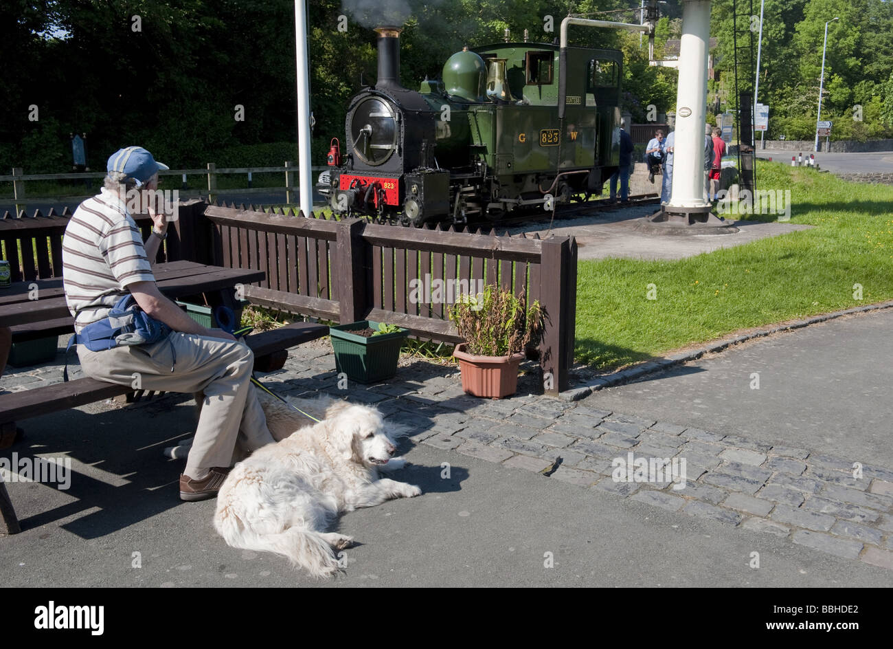 Tourist and dog locomotive engineer refills The Countess Steam Engine ...