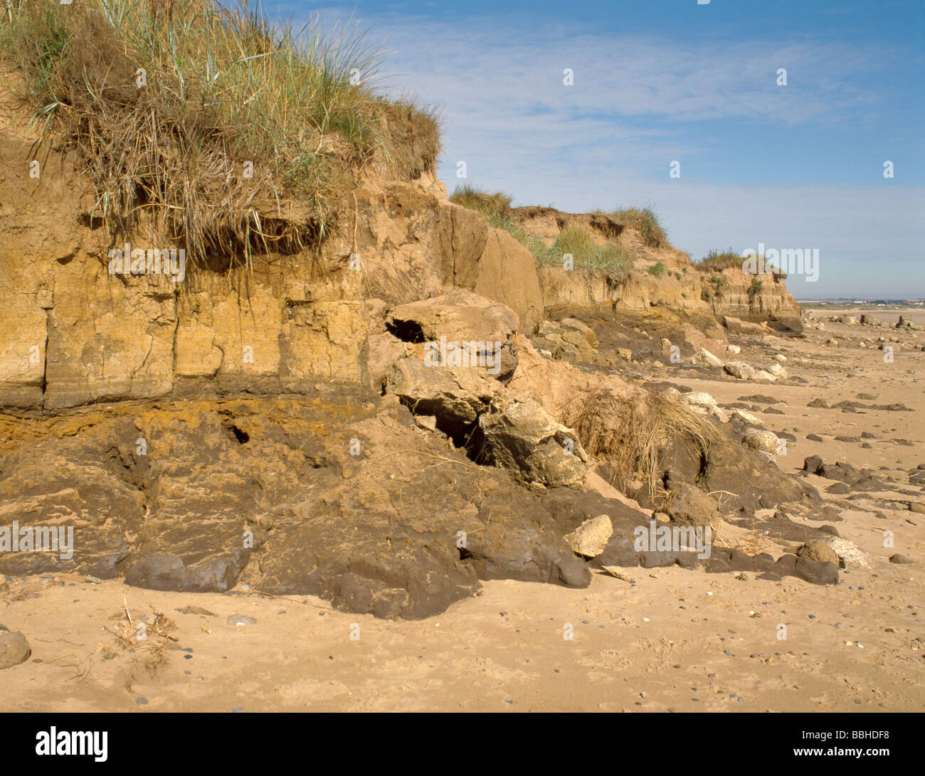 Collapsing low soft glacial till cliffs, Fraisthorpe, south of ...