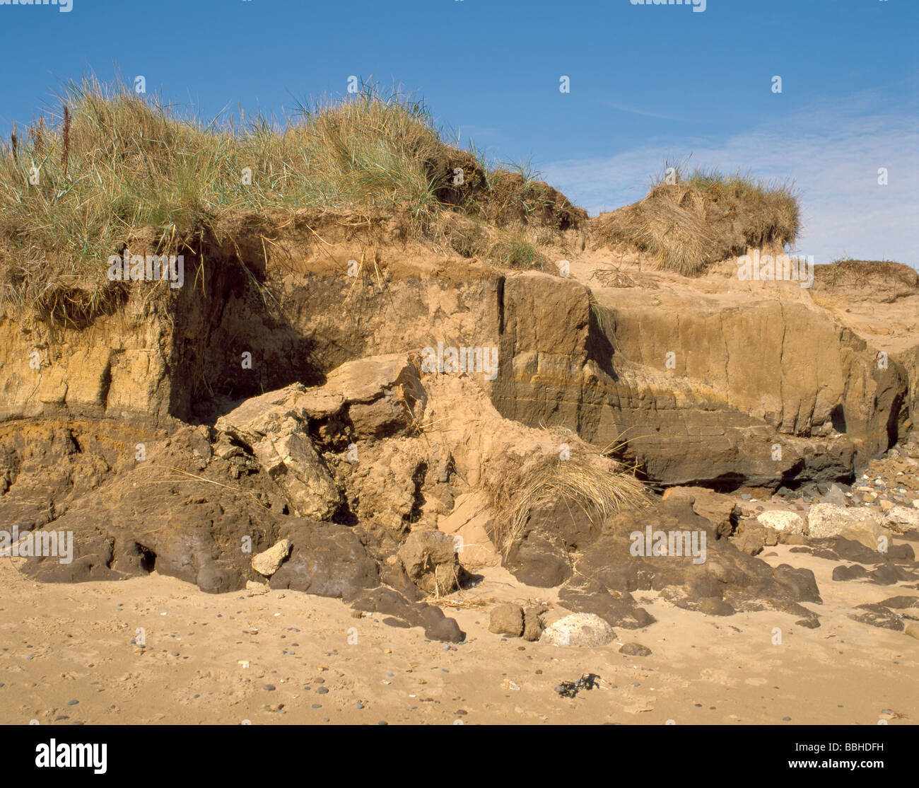 Collapsing low soft glacial till cliffs, Fraisthorpe, south of ...