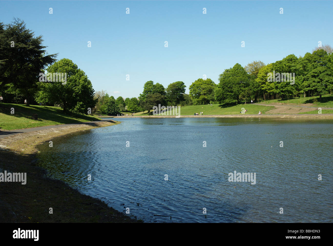 Sefton Park Liverpool Lake High Resolution Stock Photography and Images ...