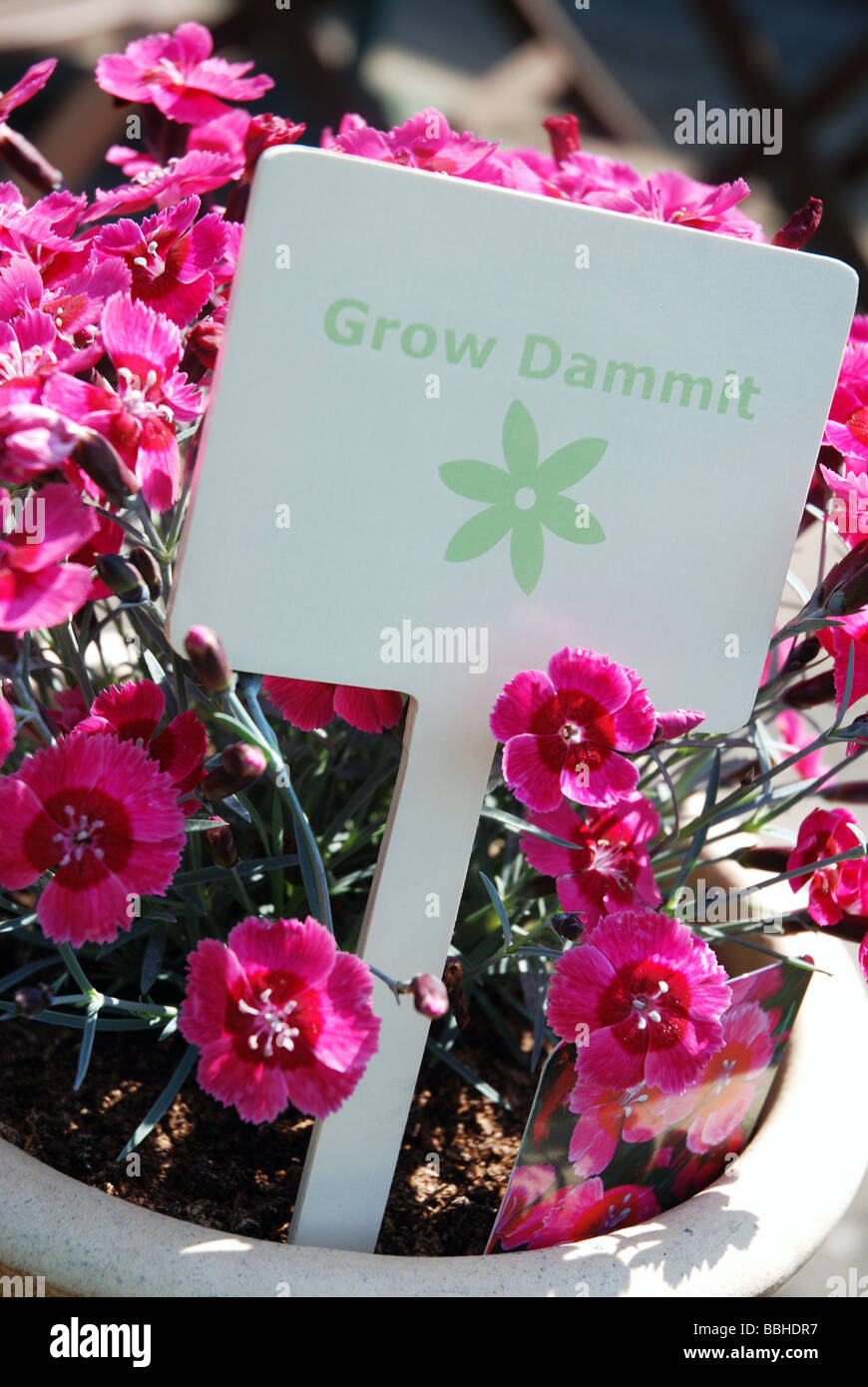 Wishing pot hi-res stock photography and images - Alamy