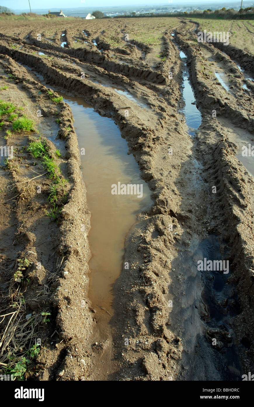 Muddy field, UK Stock Photo - Alamy