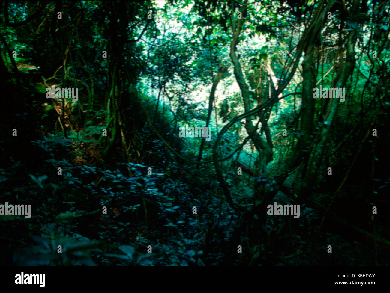 Manicaland province hi-res stock photography and images - Alamy