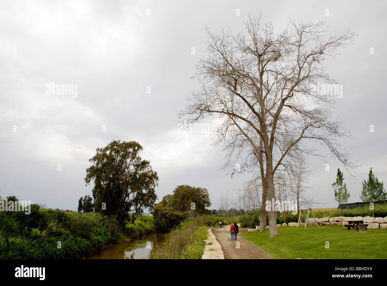 Israel Coastal Plains Nahal Alexander Stock Photo - Alamy