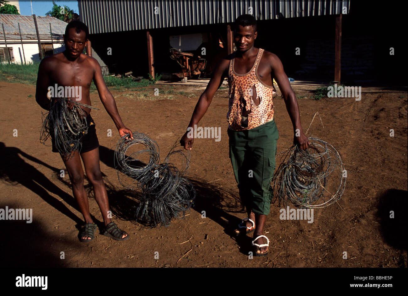 Captured game hi-res stock photography and images - Alamy