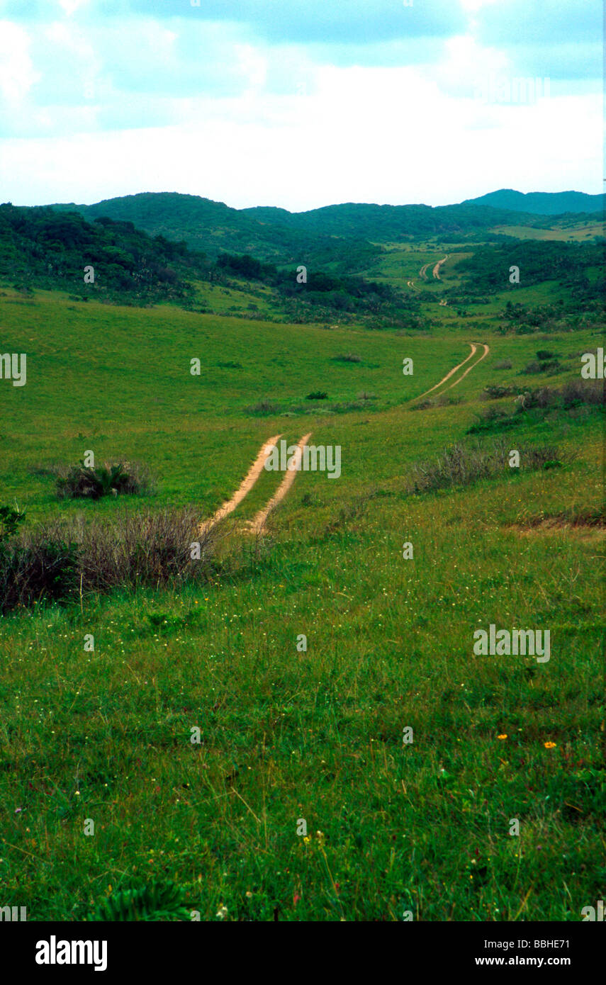 Maputaland hi-res stock photography and images - Alamy