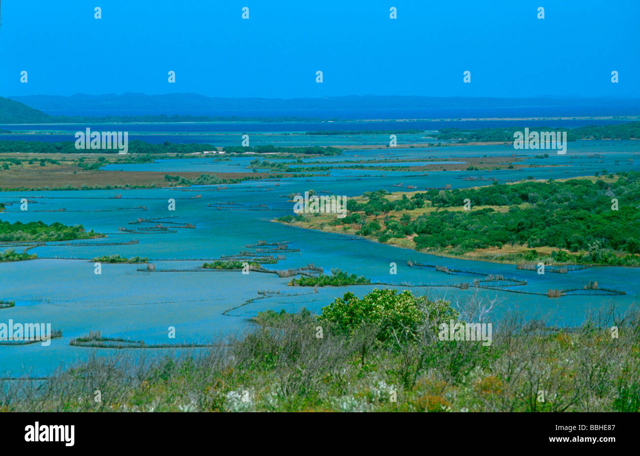 Maputaland coastal forest reserve hi-res stock photography and images ...