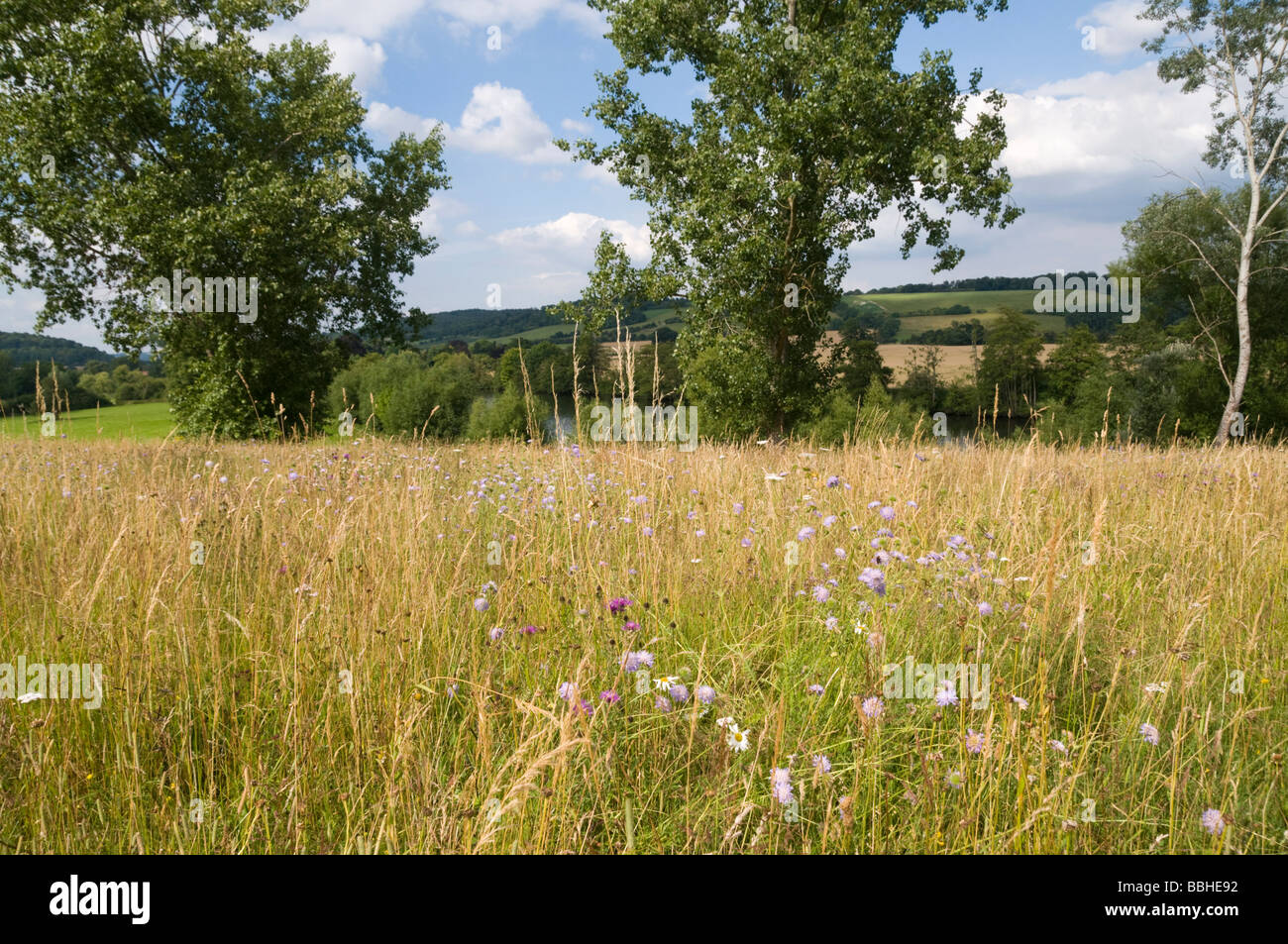 River Thames and English countryside seen from the Thames Path near ...