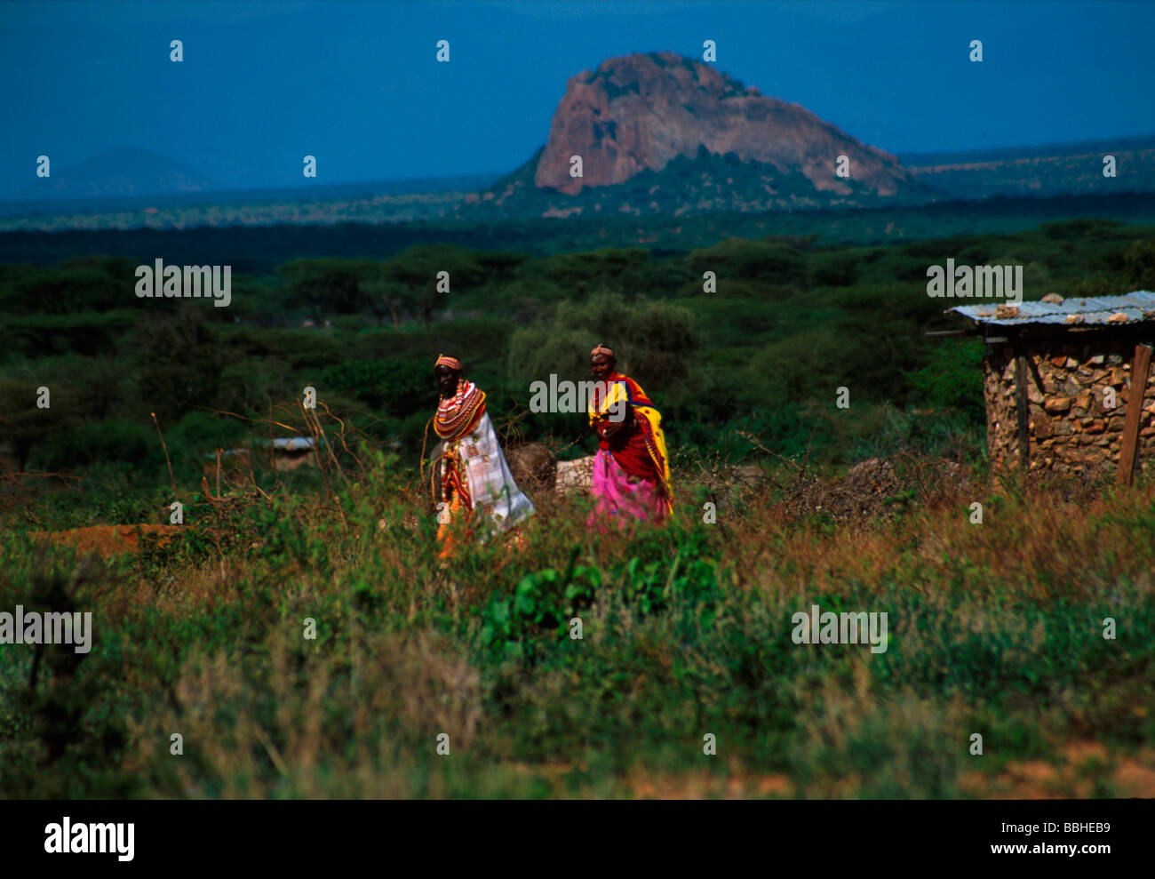 Samburu people Kenyan people Kenya rural tribes tribal Stock Photo - Alamy