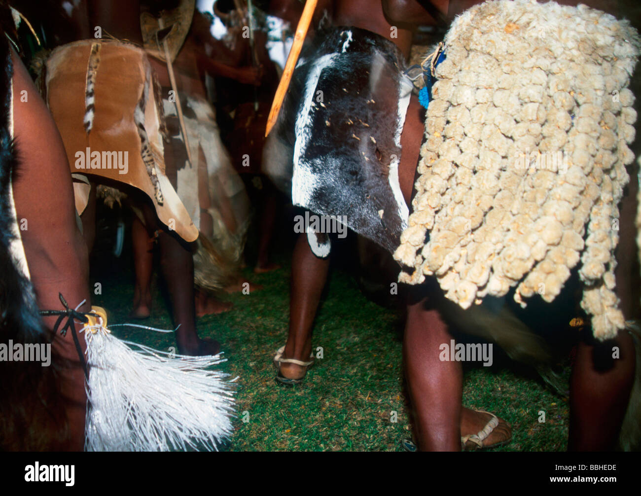 Amabheshu hi-res stock photography and images - Alamy
