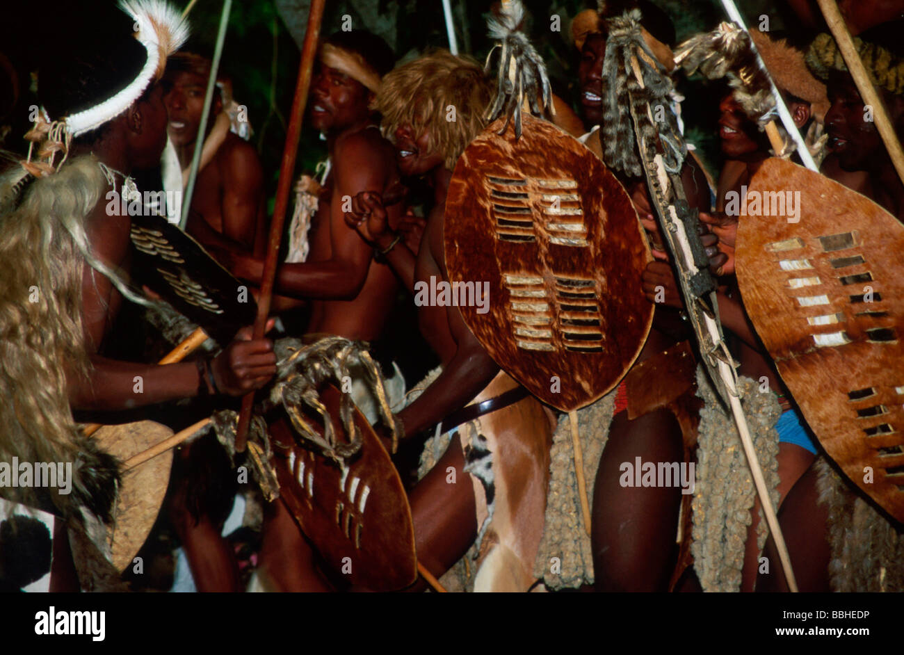 Amabheshu hi-res stock photography and images - Alamy