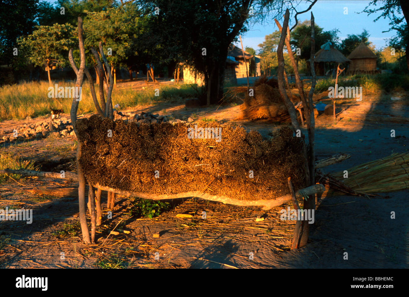 Thatching grass africa hi-res stock photography and images - Alamy