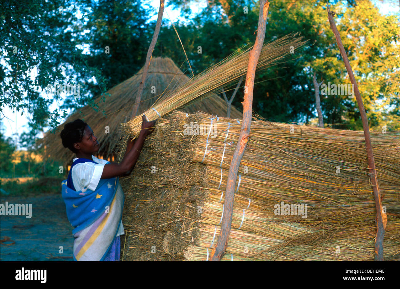 Bundles thatch grass hi-res stock photography and images - Alamy