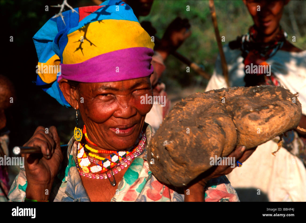 There are 32 cuca shops in Tsumkwe In the whole of the Odjozondjupa ...