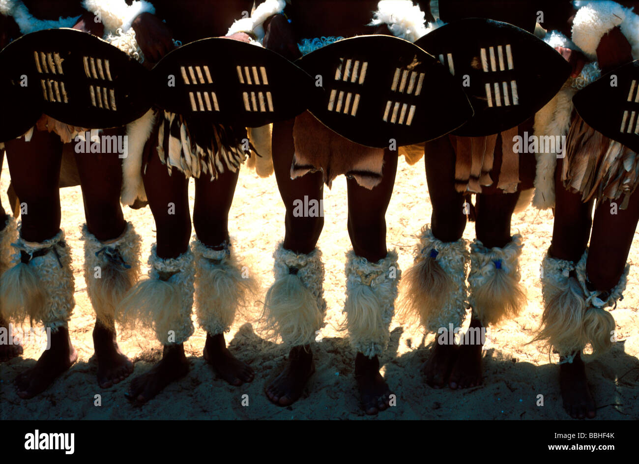Zulu dancers perform as part of the St Lucia Wetlands Festival Stock ...