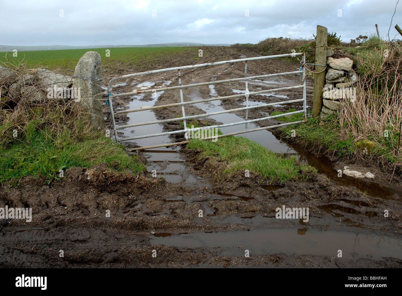 Wet muddy field hi-res stock photography and images - Alamy