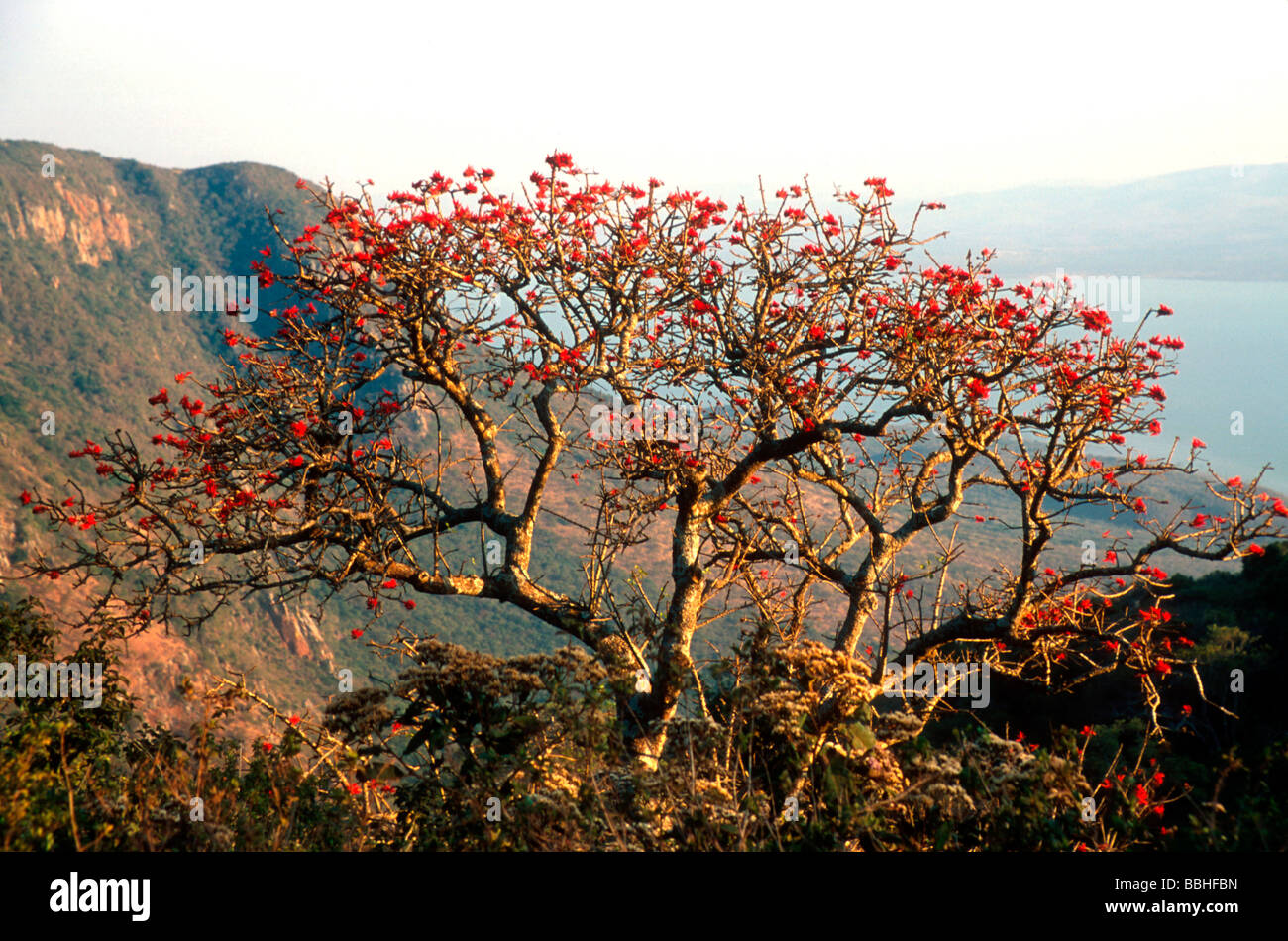 Ingwavuma hi-res stock photography and images - Alamy