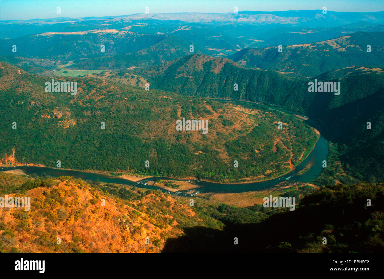 Duma hi-res stock photography and images - Alamy