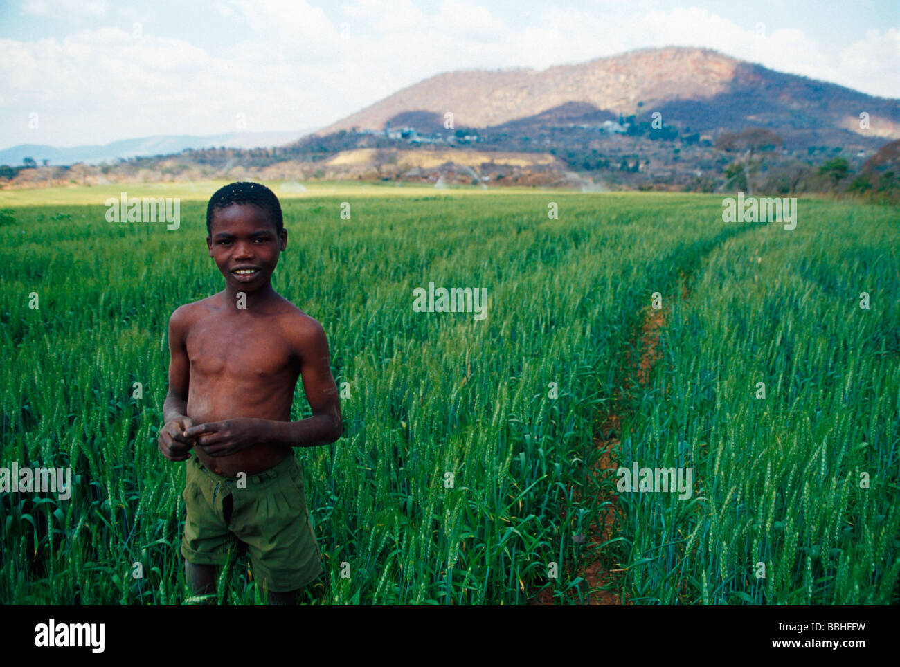 Crisis in Zimbabwean food security Once the breadbasket of southern ...