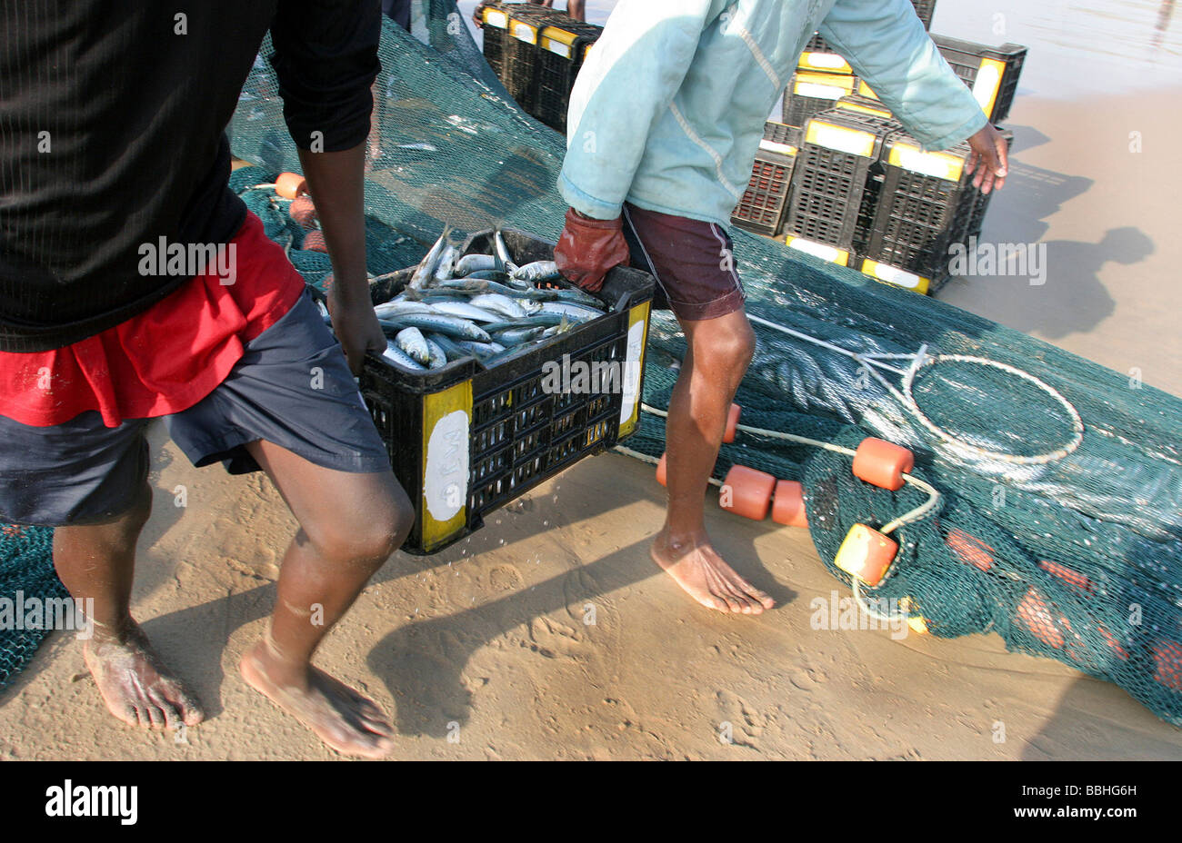 Unemplyed persons help fishermen and metters to net carry and later ...