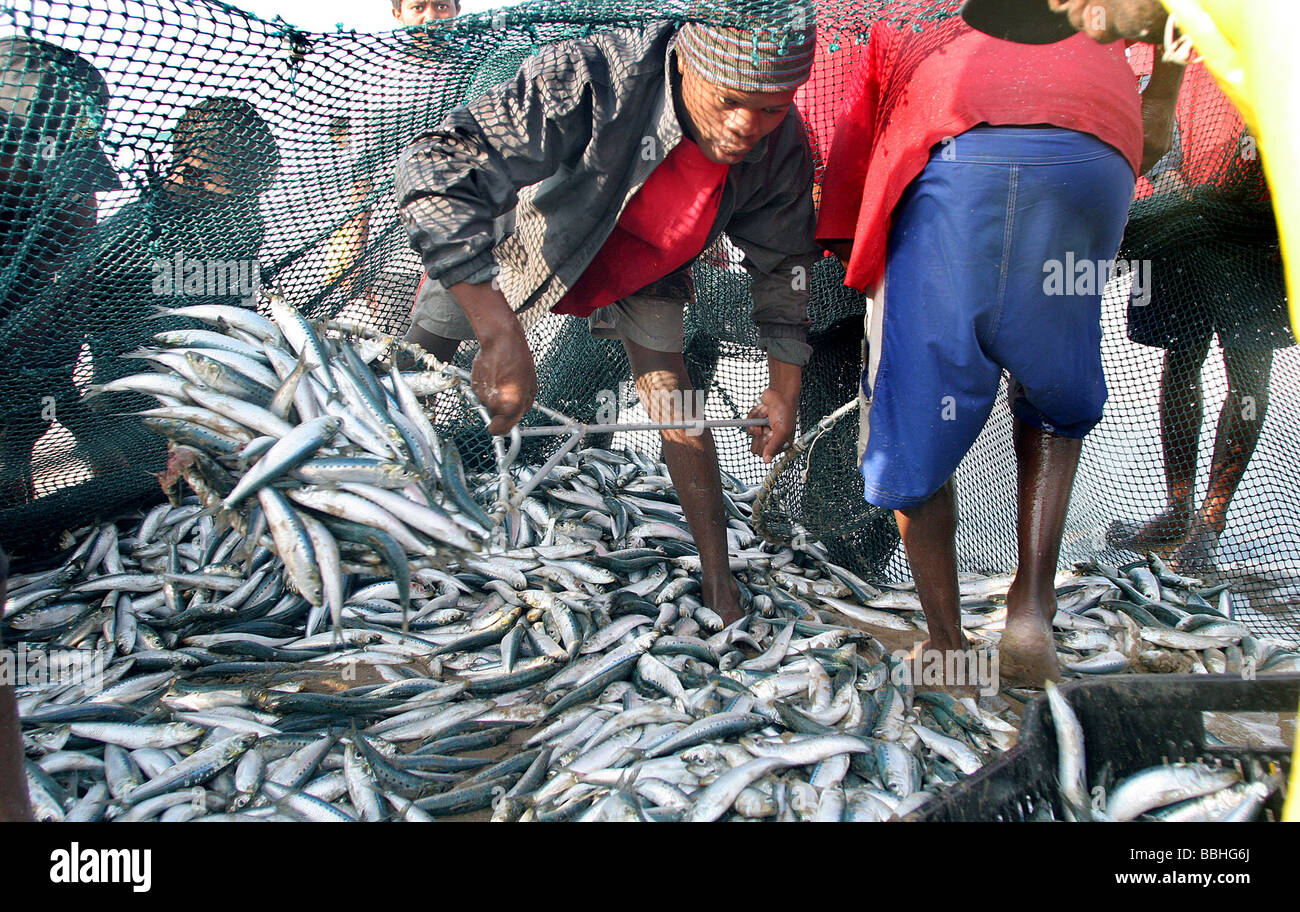 Many unemplyed men get a chance to make some money in helping fishermen ...