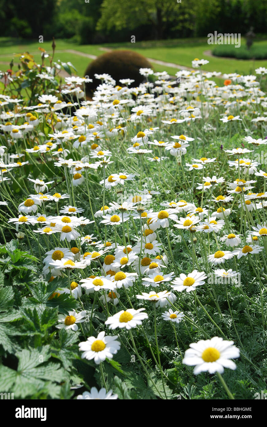 Knight hayes court hi-res stock photography and images - Alamy