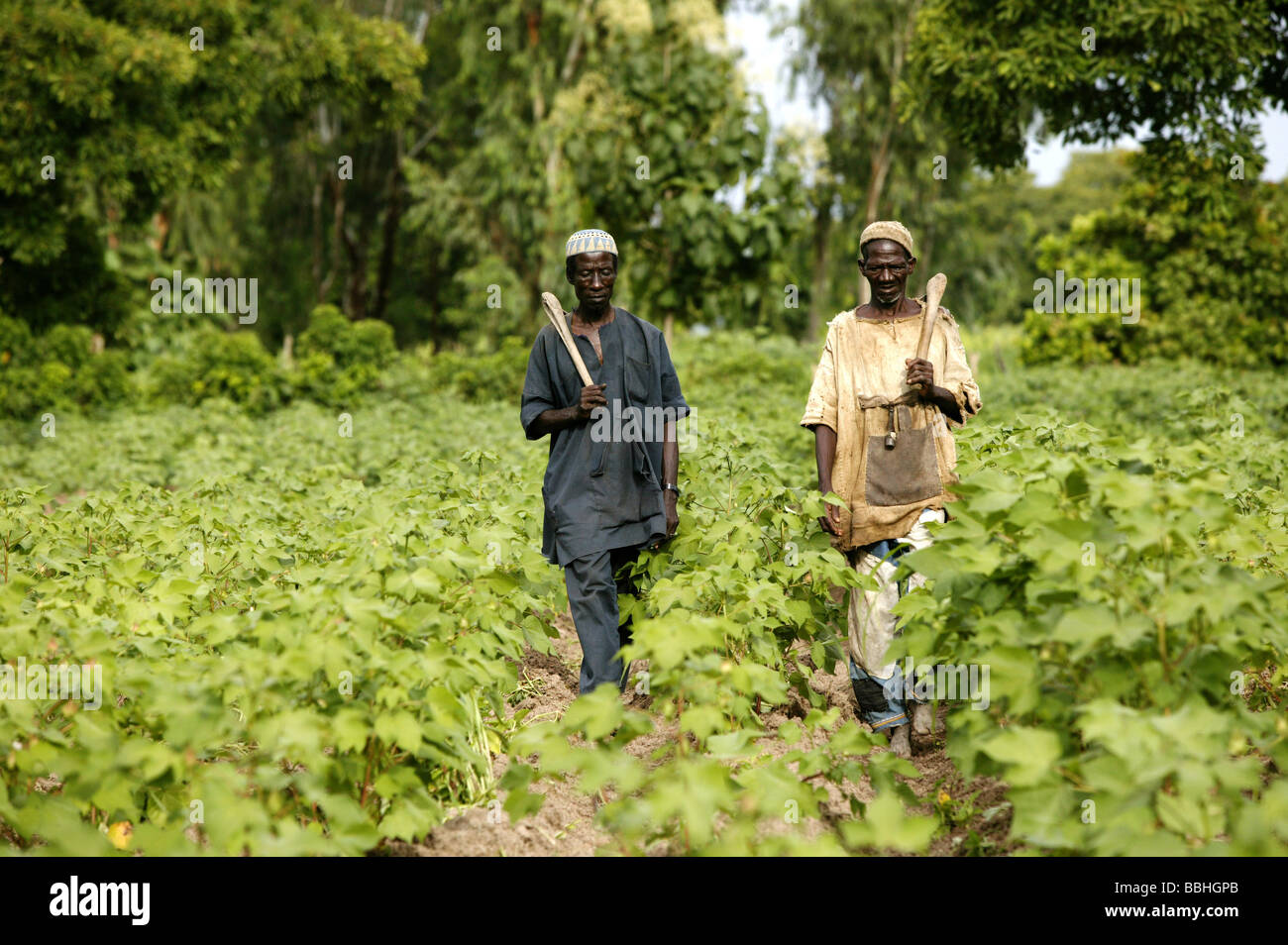 Barefoot workers hi-res stock photography and images - Alamy