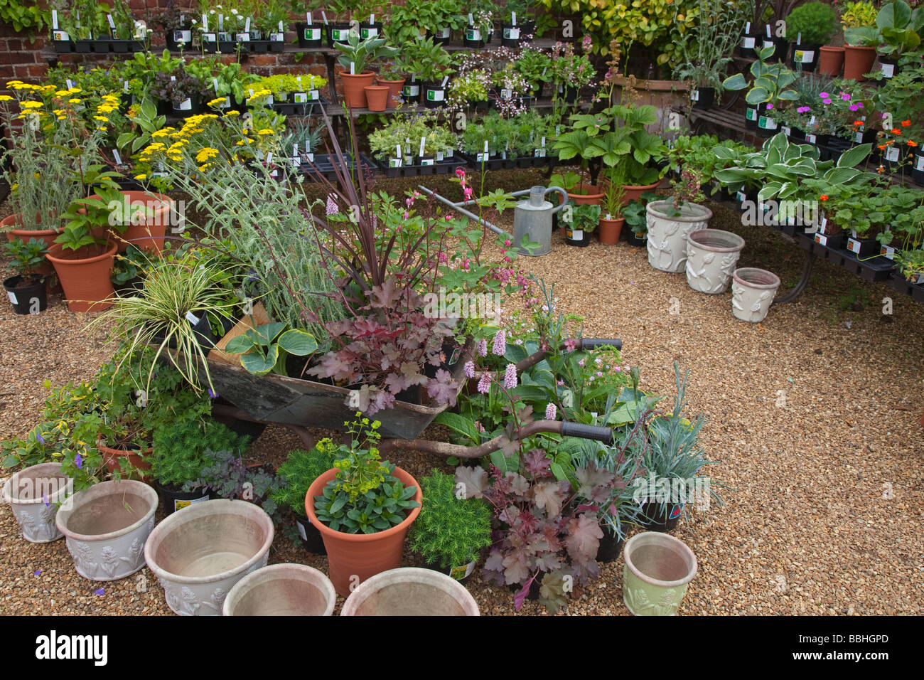 Labelled garden plants hi-res stock photography and images - Alamy