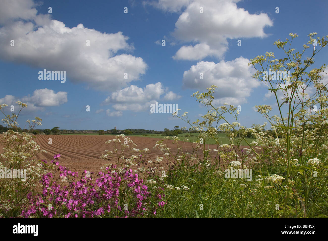 Southrepps norfolk hi-res stock photography and images - Alamy