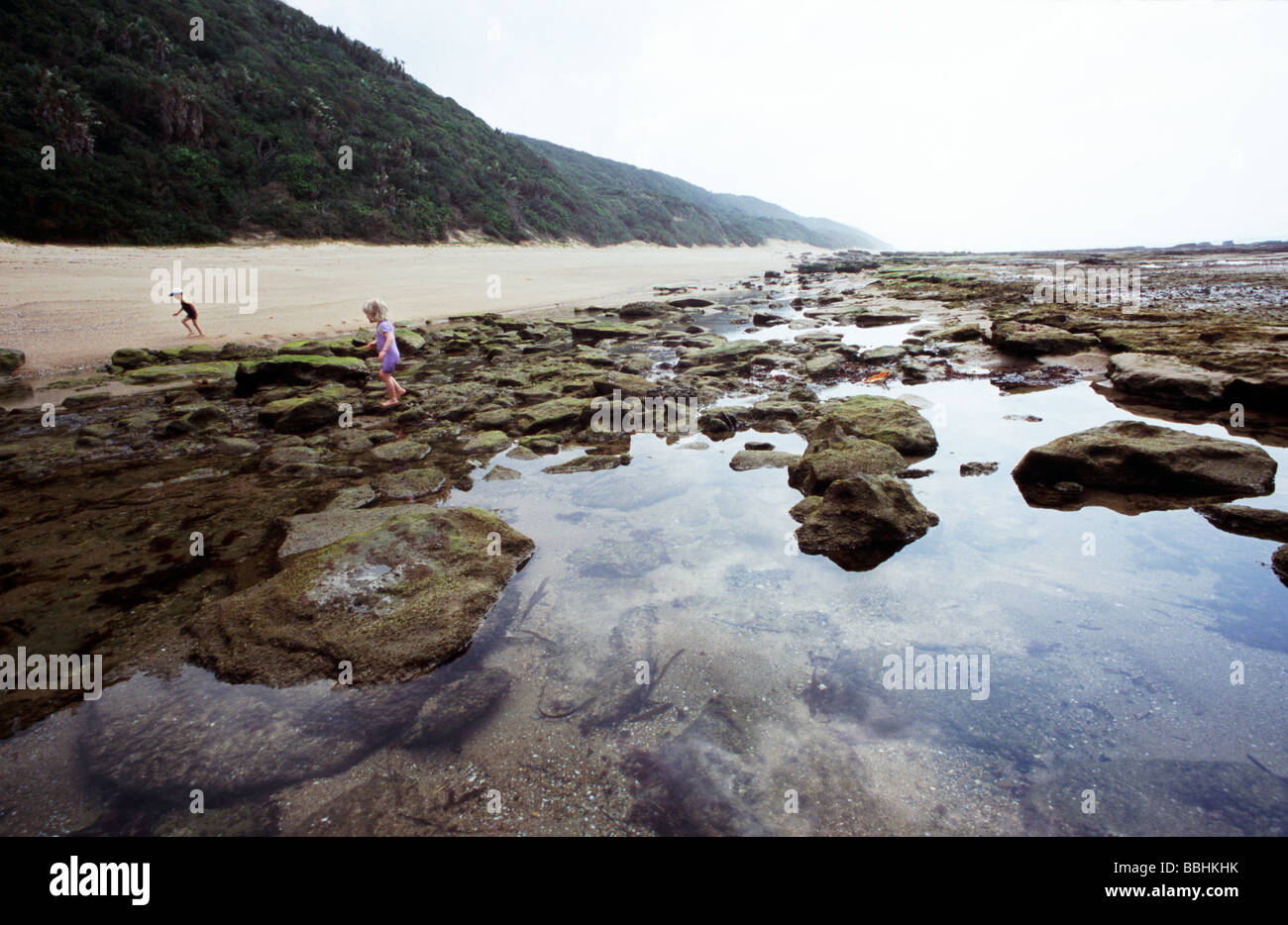 Timothy larsen hi-res stock photography and images - Alamy