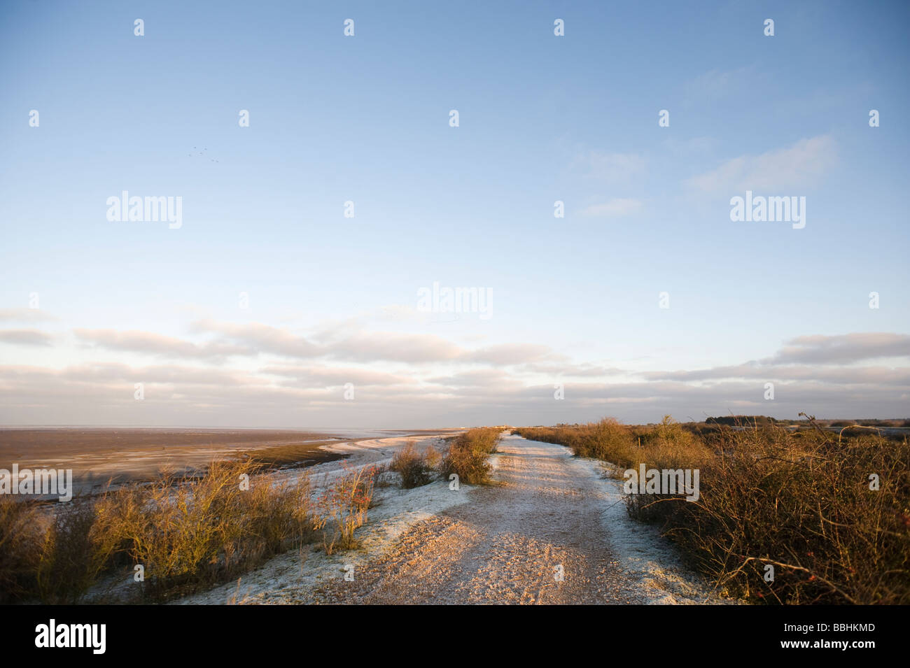 Snettisham RSPB Reserve Norfolk in winter Stock Photo - Alamy