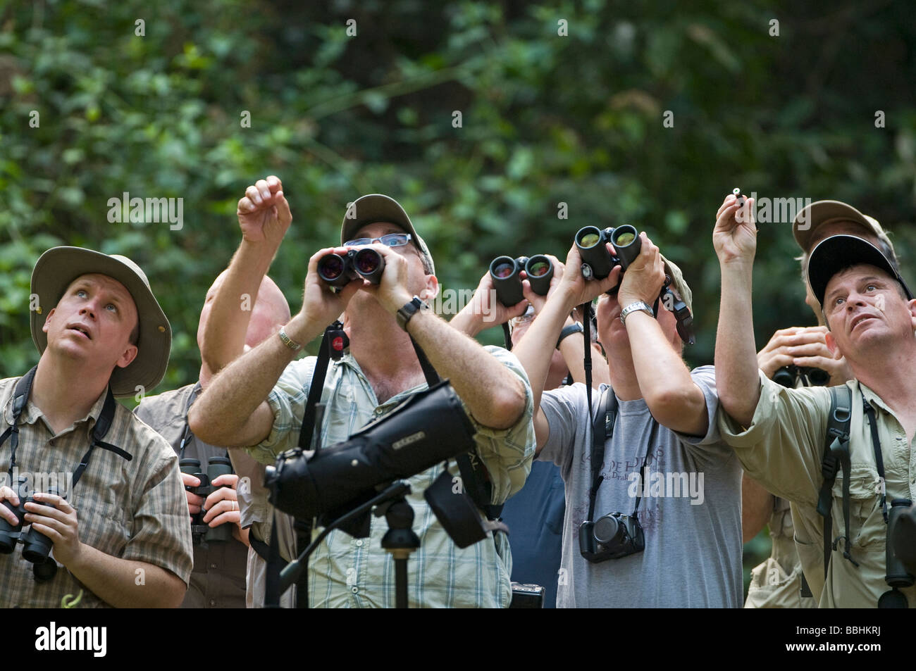 Forest birding in Subic Luzon Philippines Stock Photo - Alamy
