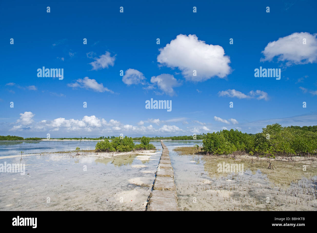 Causeway through mangroves at Olango Island Wlidlife Sanctuary Lapu ...