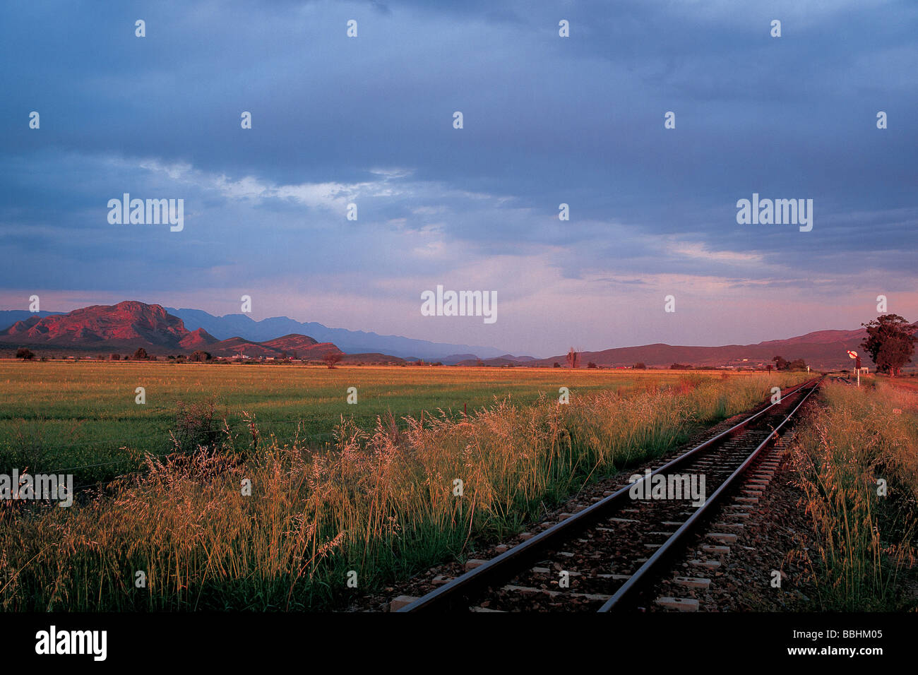 Duck train hi-res stock photography and images - Alamy