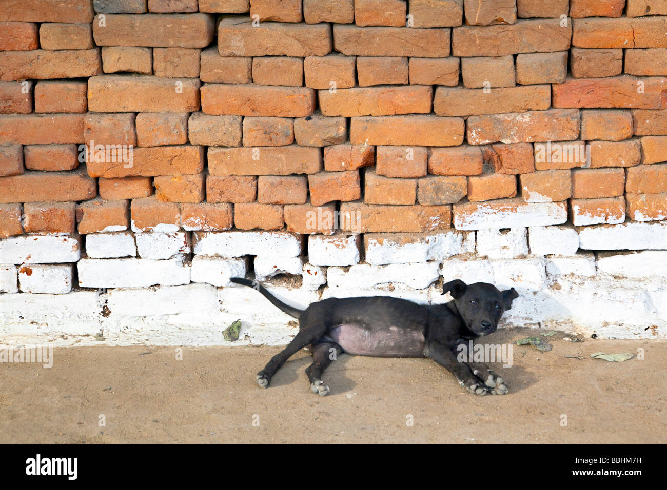 Precarious Stock Photos & Precarious Stock Images - Alamy