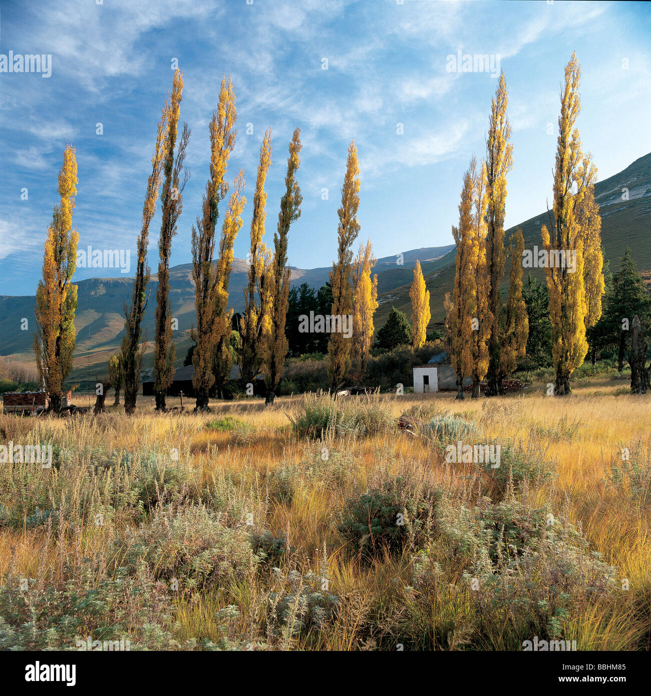 Hone interior hi-res stock photography and images - Alamy