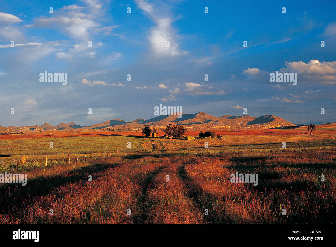 EASTERN FREE STATE FARMLANDS Stock Photo - Alamy