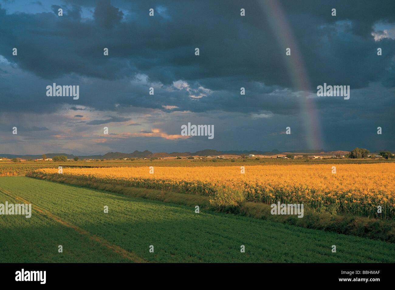 Orange river south africa agriculture hi-res stock photography and ...
