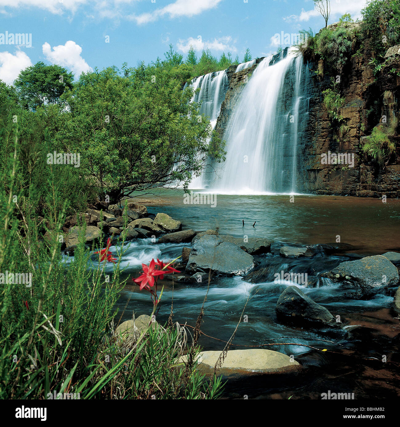 FOREST FALLS NEAR GRASKOP CAN BE FOUND IN ONE OF THE MANY PINE FORESTS ...