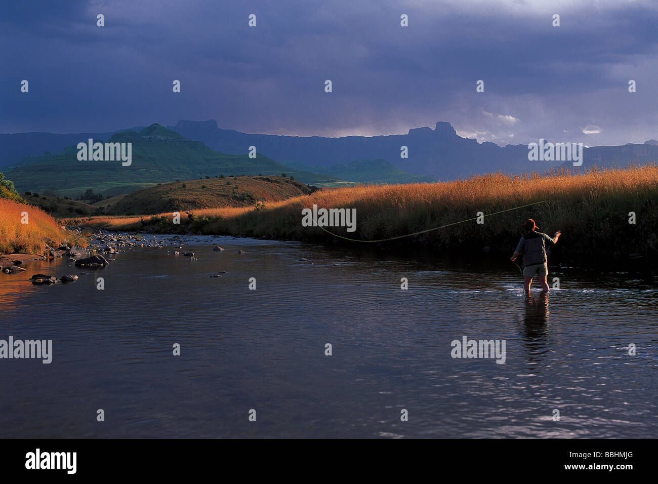 FLY FISHING IN THE THUKELA RIVER Stock Photo - Alamy