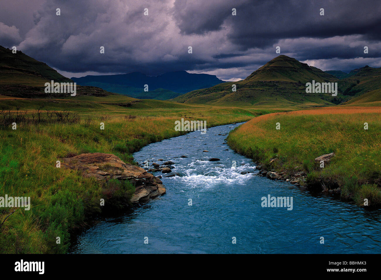 DRAKENSBERG COBHAM AREA Stock Photo - Alamy