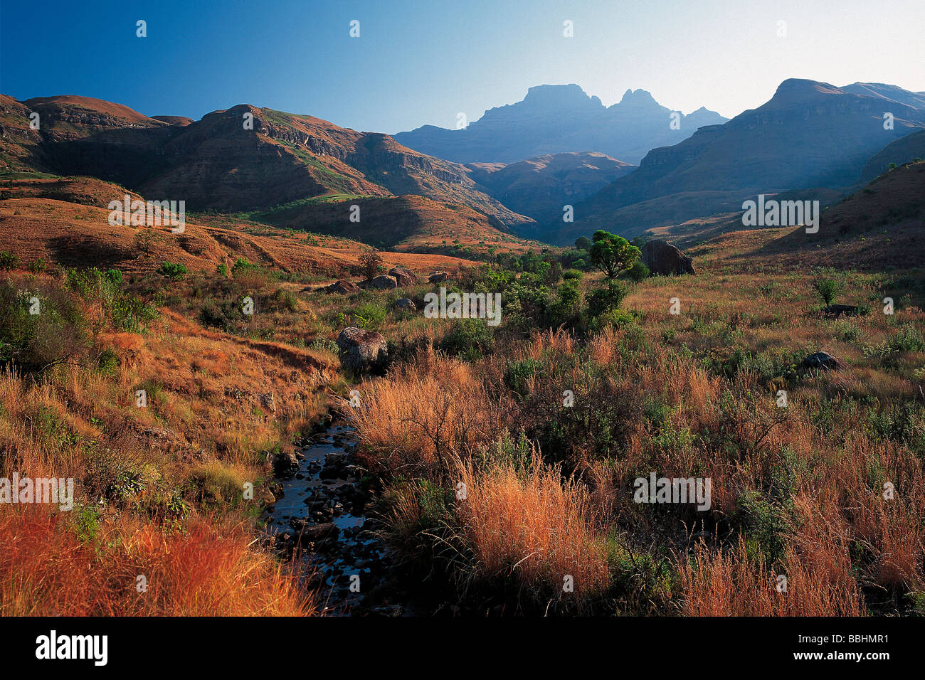 CATHKIN PEAK CHAMPAGNE CASTLE Stock Photo - Alamy