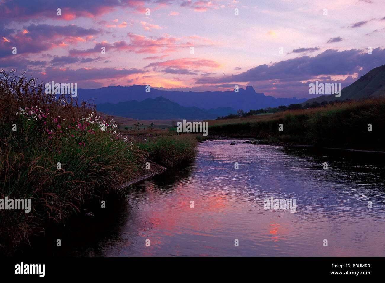 THE THUKELA RIVER AMPHITHEATRE DRAKENSBERG Stock Photo - Alamy