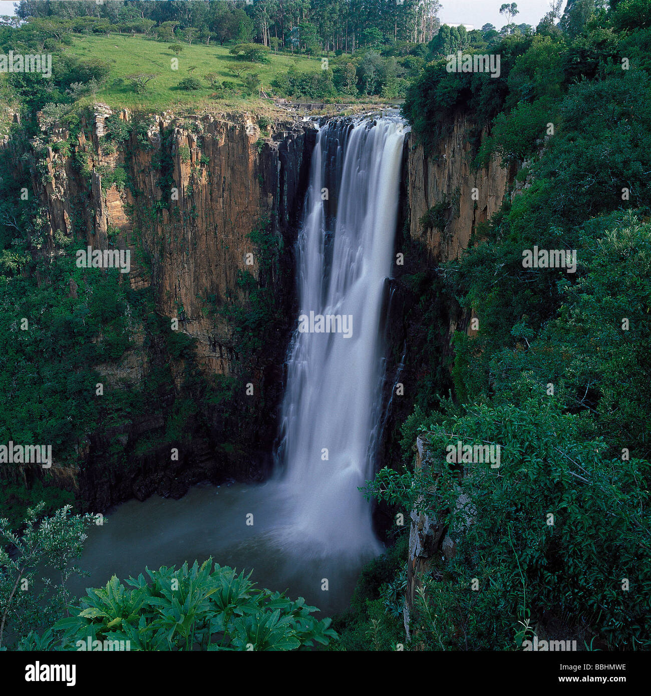 Nata midlands hi-res stock photography and images - Alamy